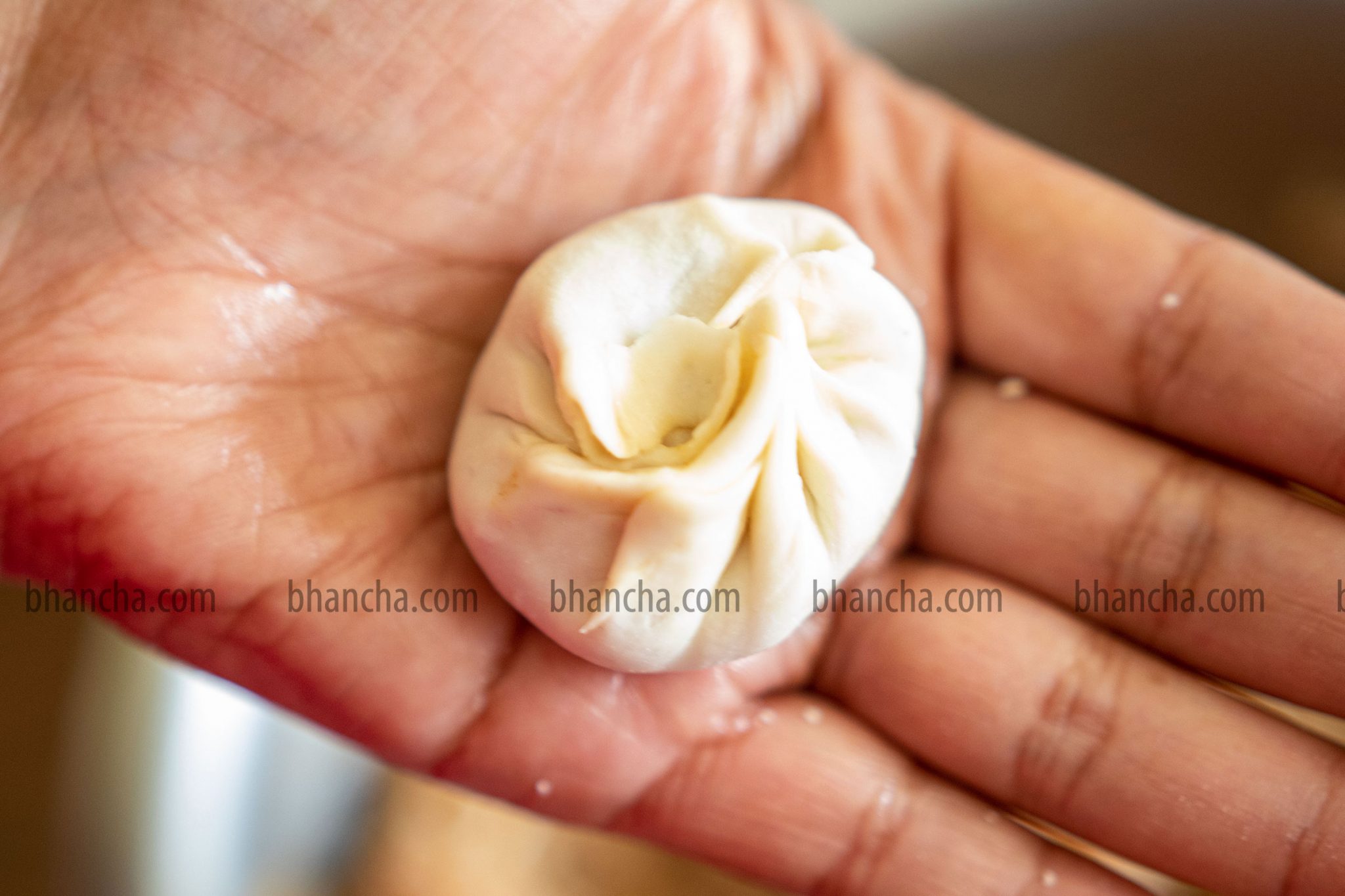 Nepali Chicken momo - Chicken Momos Recipe | Bhancha.com